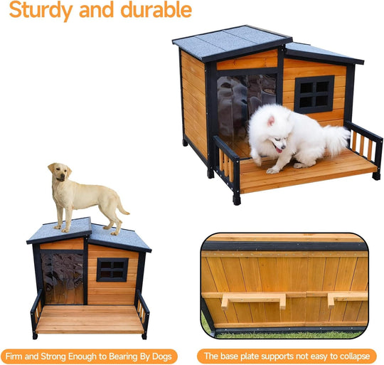 Modern Dog House Condo – OfficialDogHouse