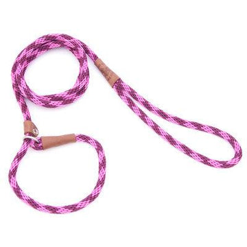 British style slip lead aids in controlling dogs – OfficialDogHouse