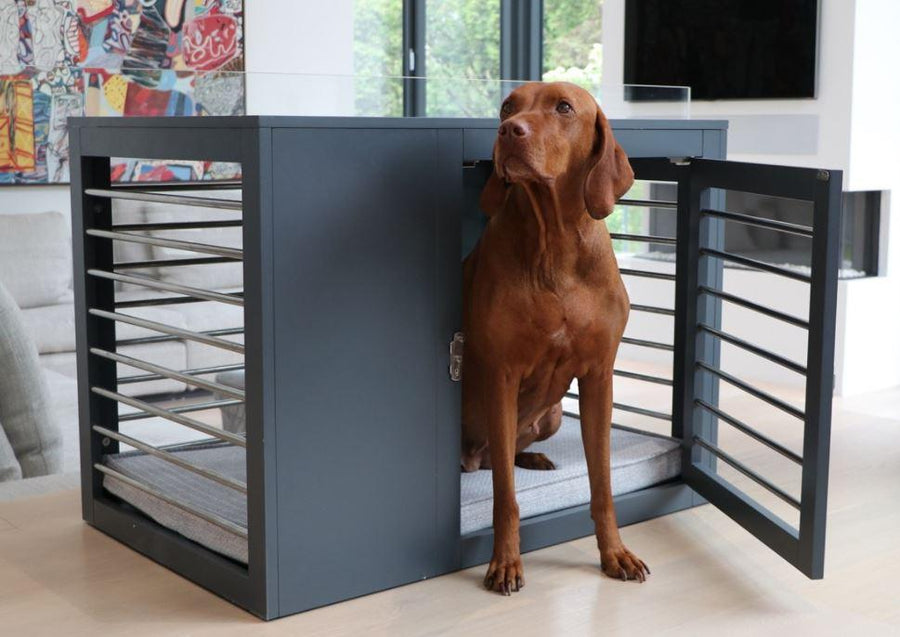 Gray Modern Dog Den Crate with Stainless Steel Accents – OfficialDogHouse